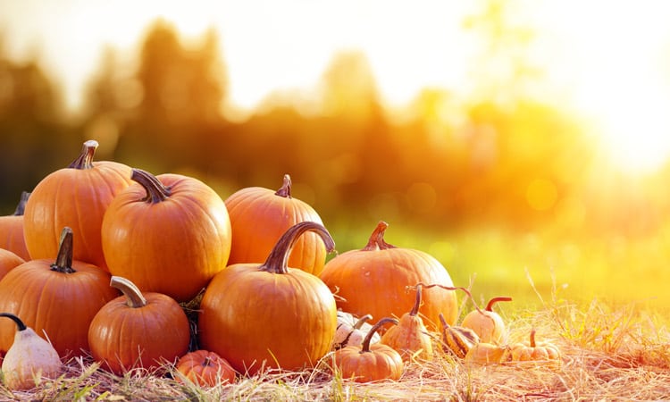 Fall Events in Myrtle Beach - Oceana Resorts